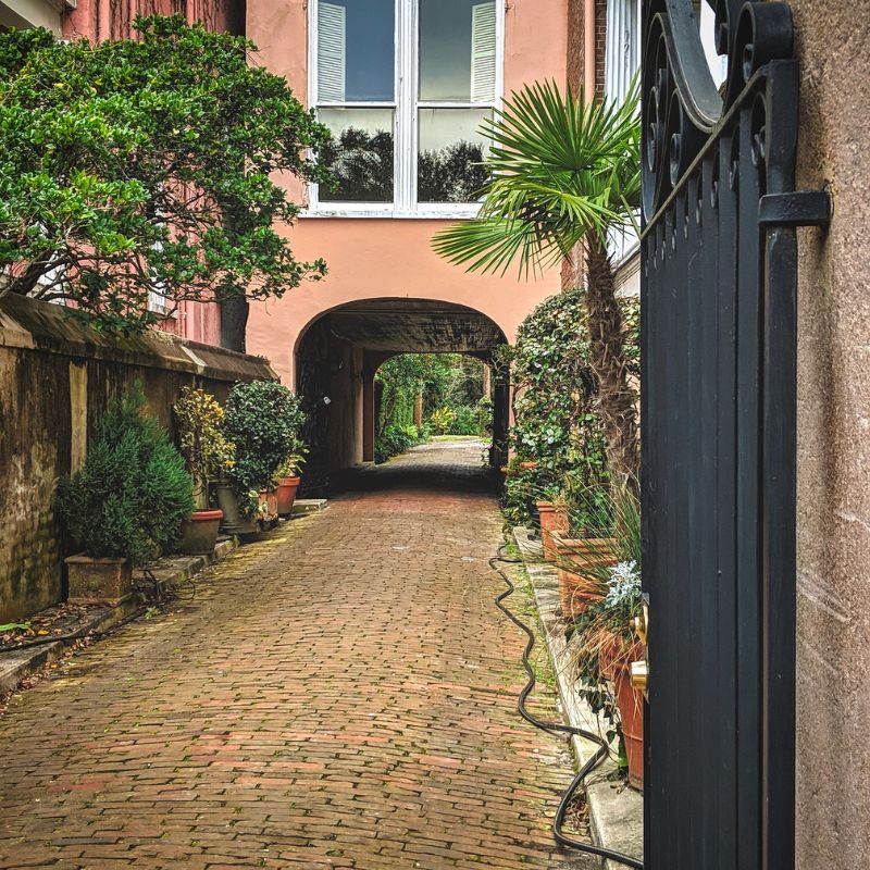 Charleston Psychologist | Healthy Minds Psychology Group